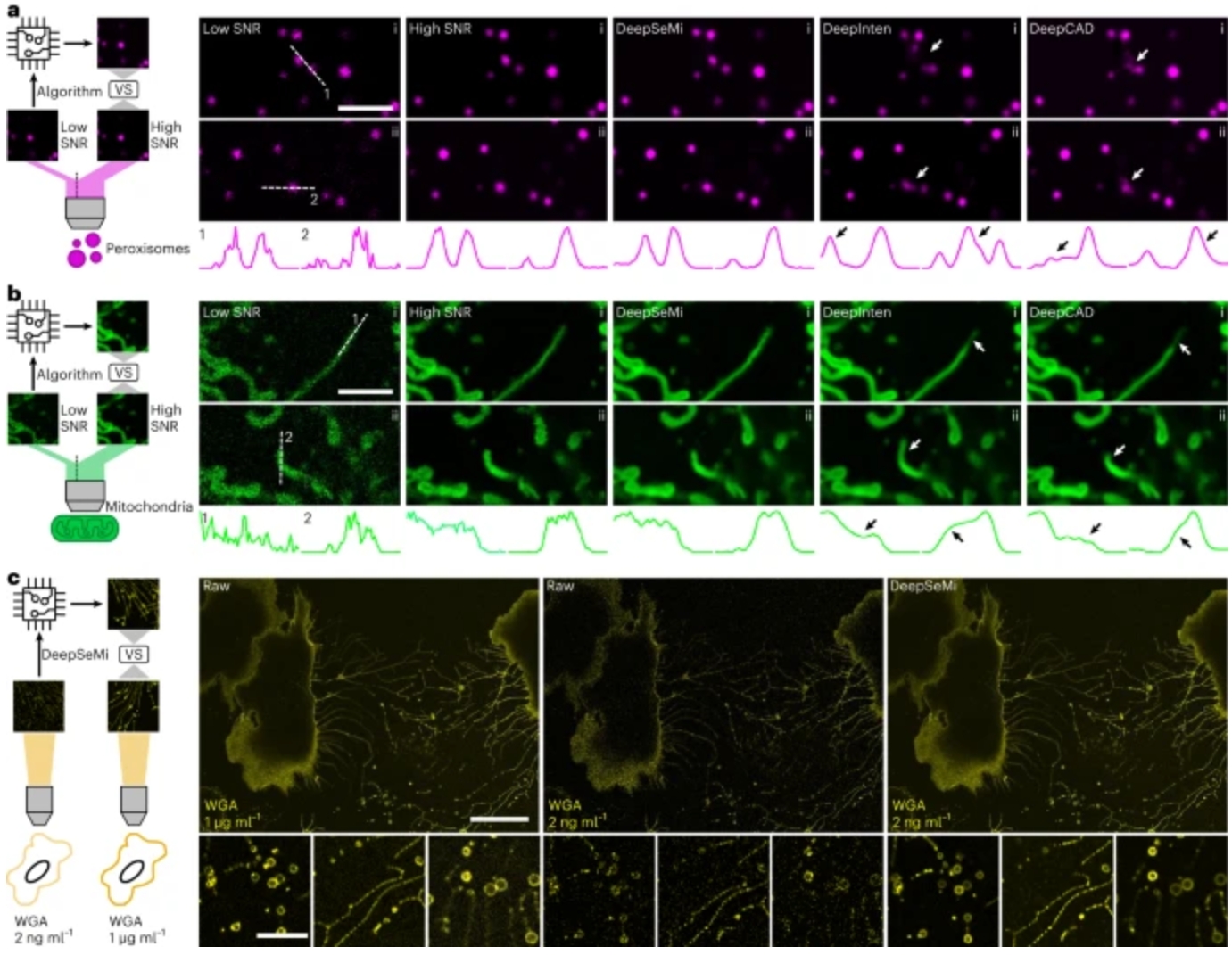 Jiamin Wu - Jiamin Wu