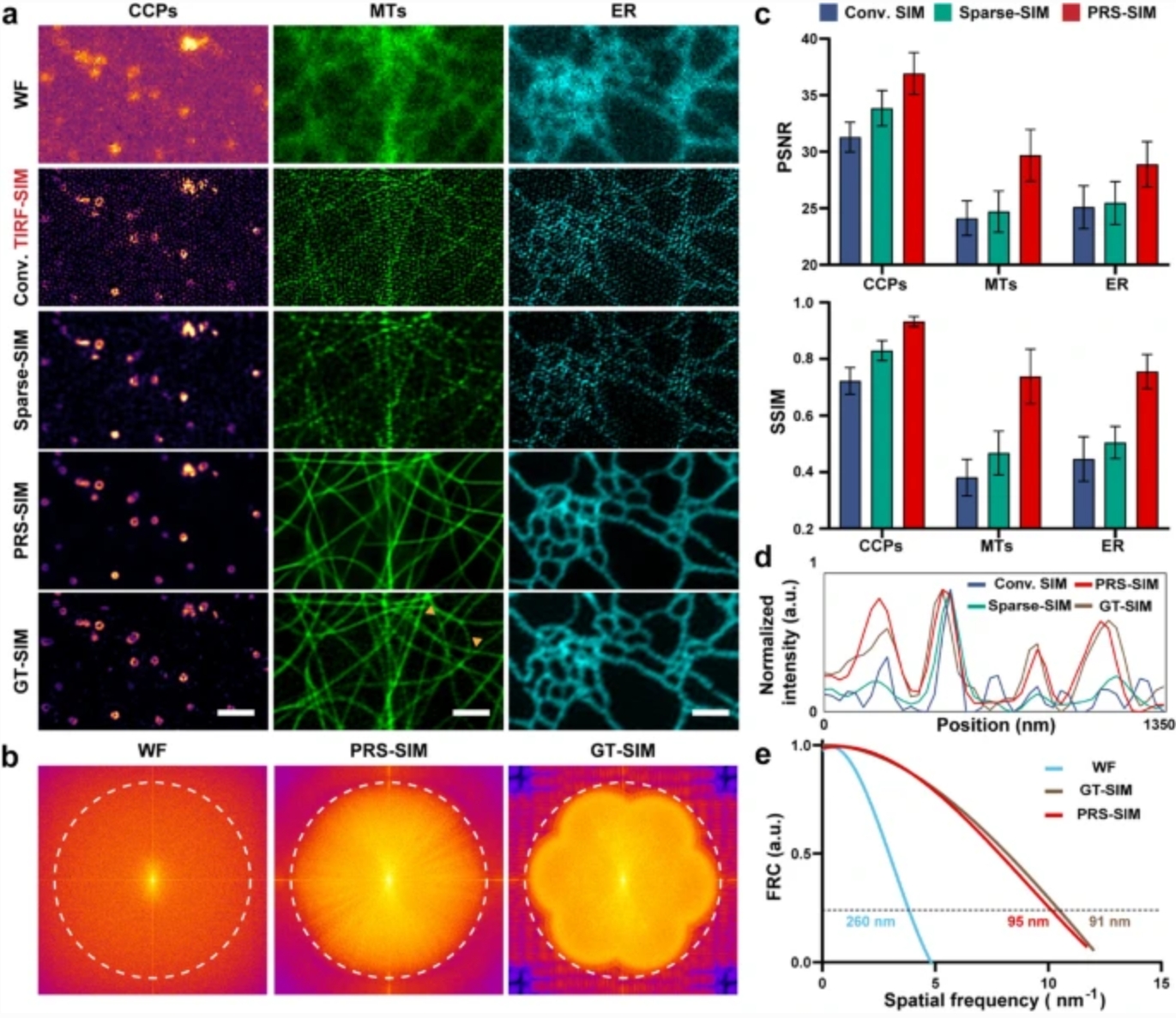 Jiamin Wu - Jiamin Wu
